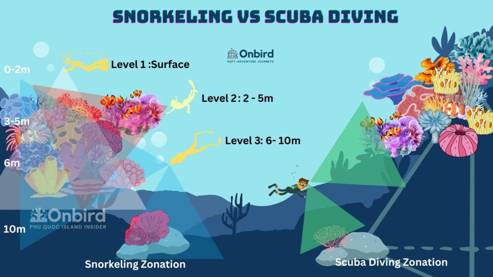 5 DIFFERENCES BETWEEN SNORKELING VS. SCUBA DIVING THAT YOU MAY DON'T ...
