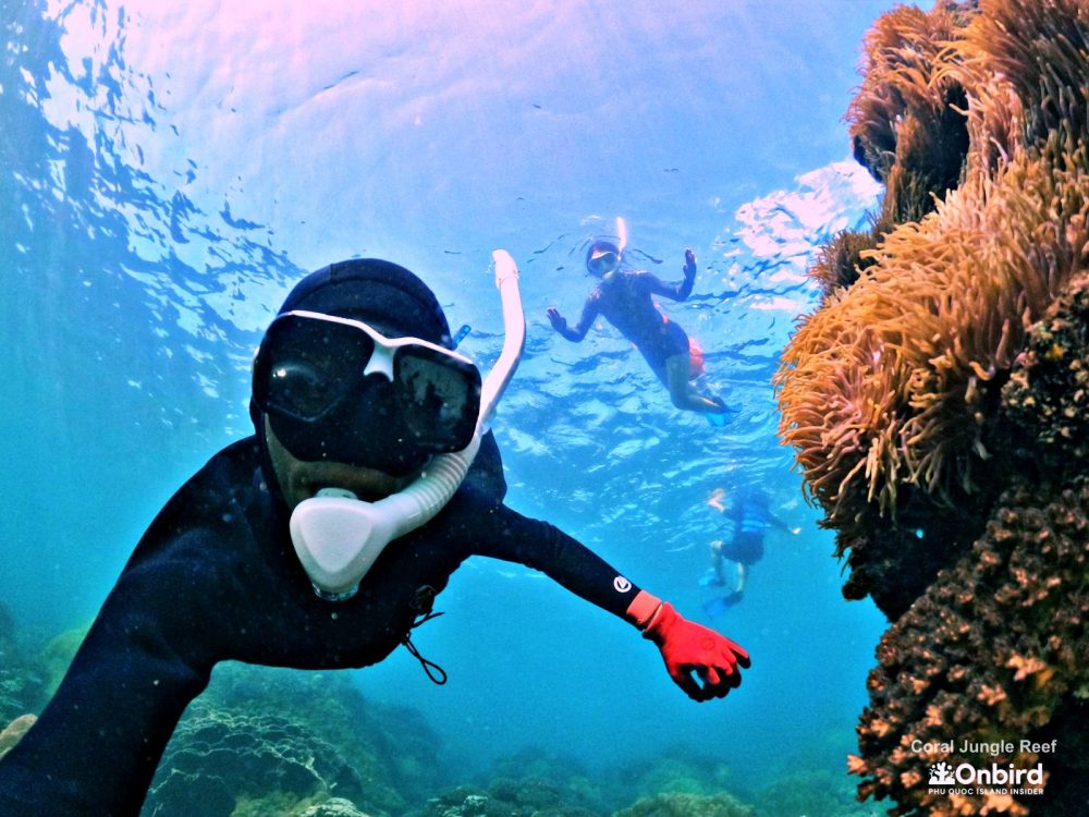[SMALL-GROUP] SOFT-ADVENTURE SNORKELING to explore CORAL JUNGLE: the ...